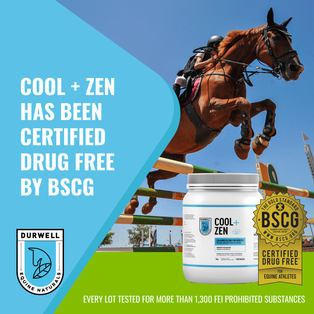 Natural Horse Supplements – Durwell Equine Naturals