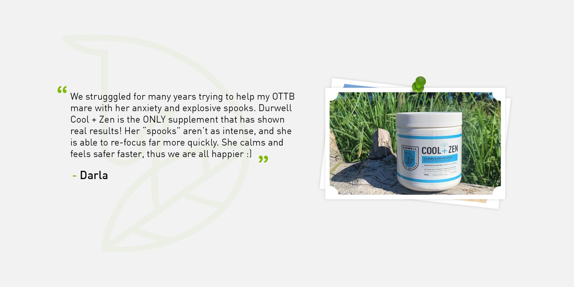 Natural Horse Supplements – Durwell Equine Naturals